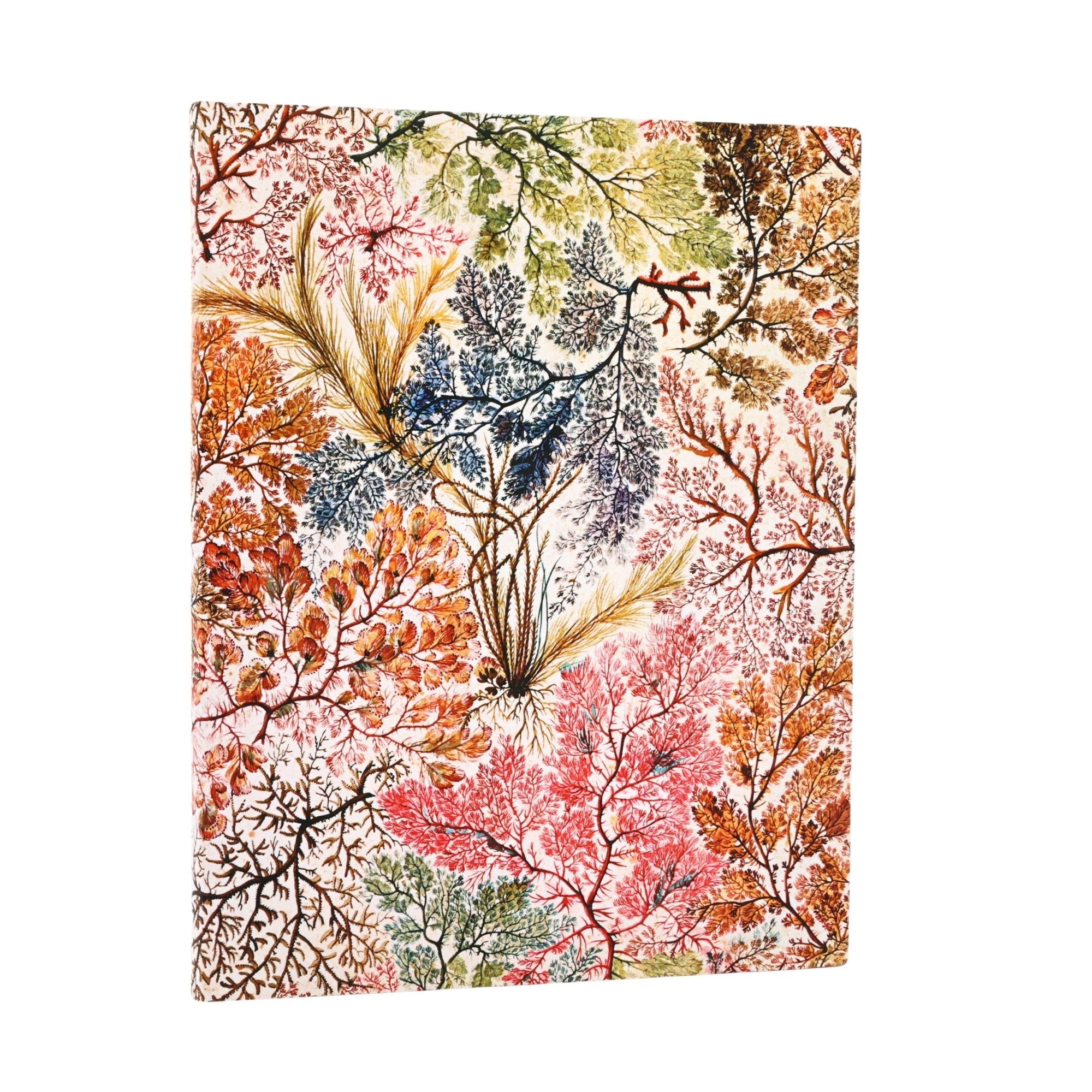 Paperblanks Flexis Anemone William Kilburn Ultra Notebook ...